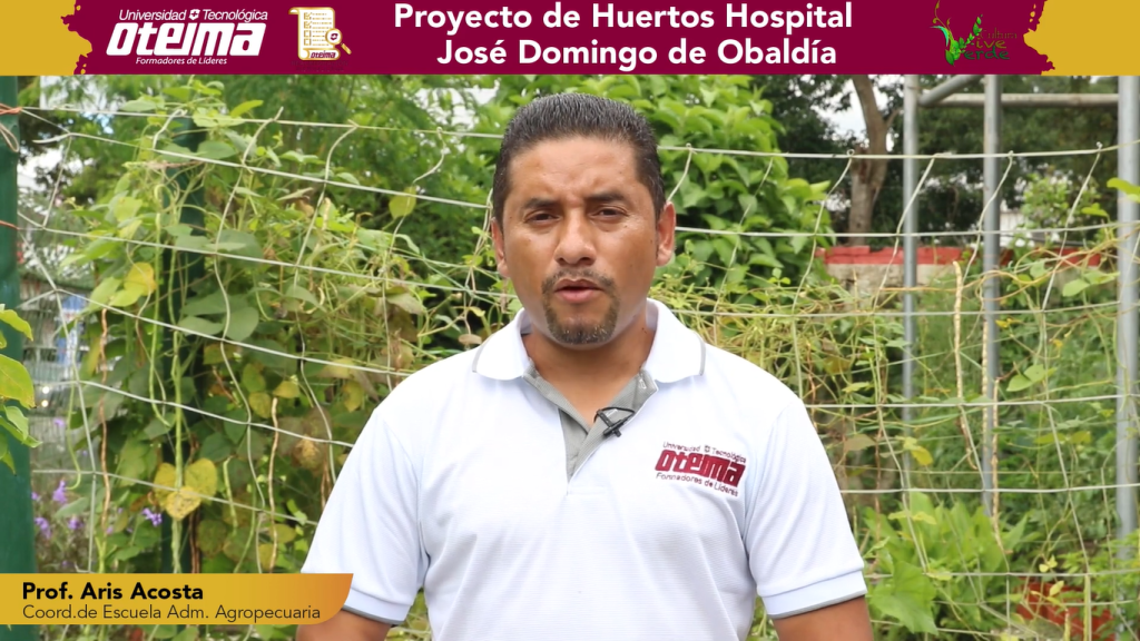 OTEIMA - Universidad Tecnológica OTEIMA